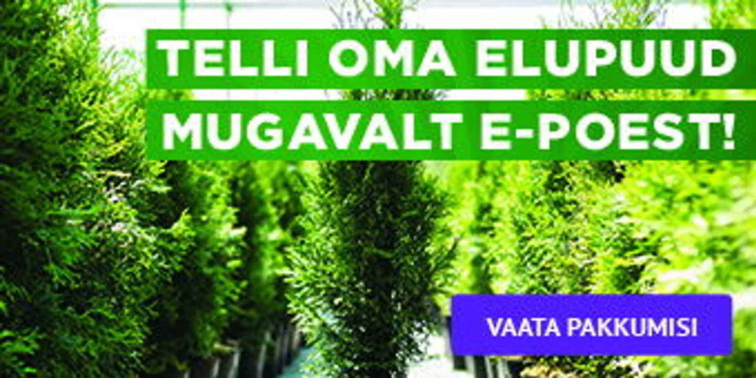 Строительство, сад, инструменты и отделка интерьера - Bauhof